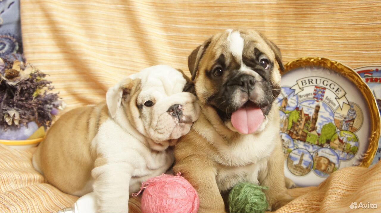 Малыши ждут родителей