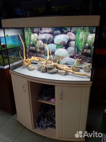 Аквариум с тумбой панорамный 180л от производителя