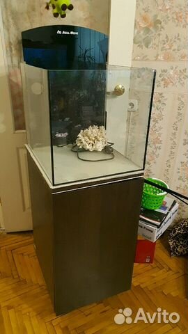 Аквариум морской Aqua Medic Blenny