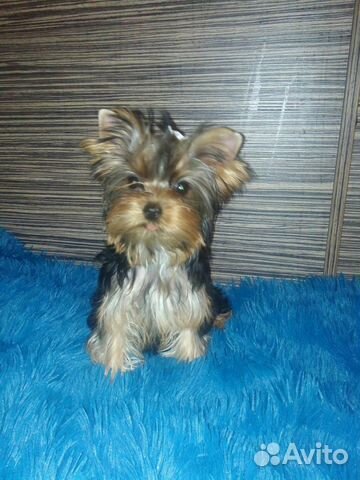 Миниатюрная куколка