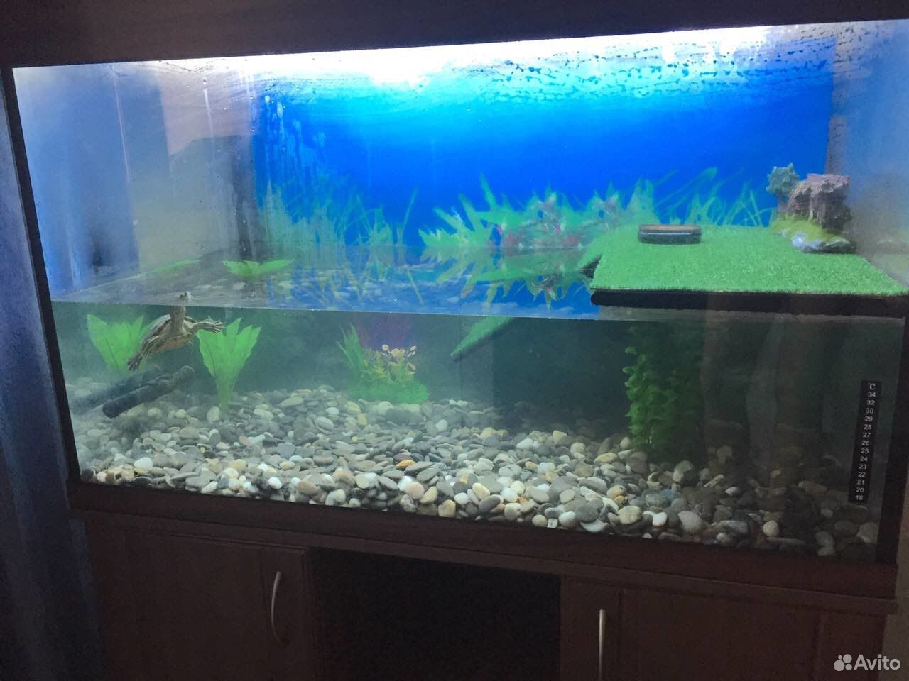 Черепашник закрыт. 101х51х66 (мостик, свет 2х30вт)