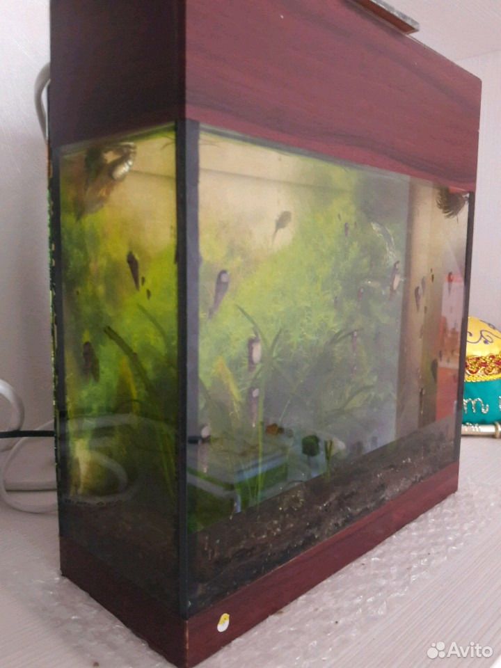 Аквариум