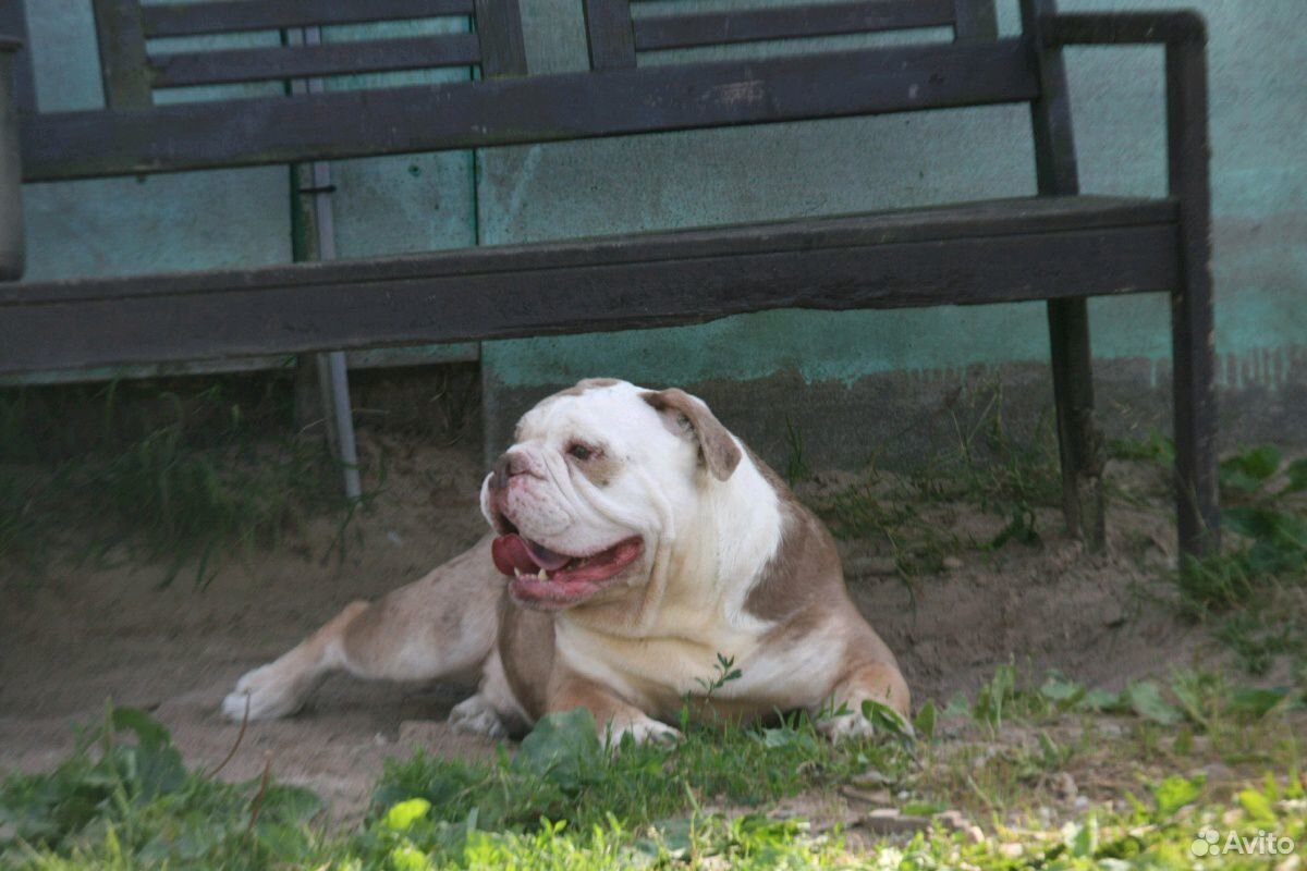 Приглашаю на свидания