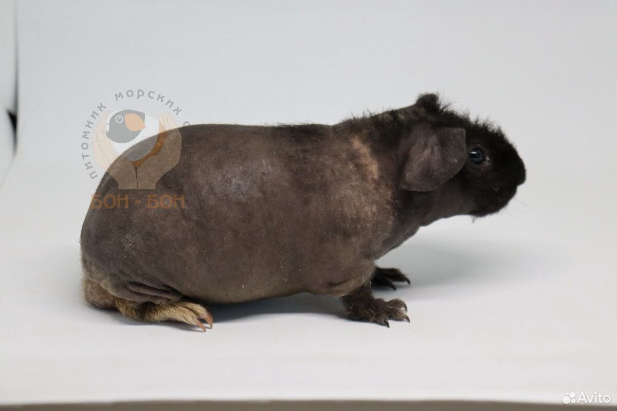 Скинни с доставкой по Москве и Мос. обл