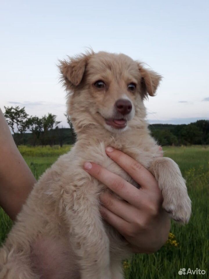 Маленькая девочка Агата