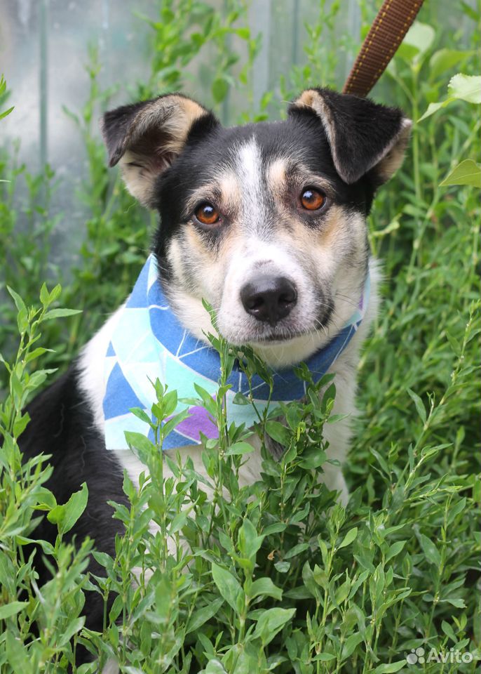 Дружелюбный парень Гаврила