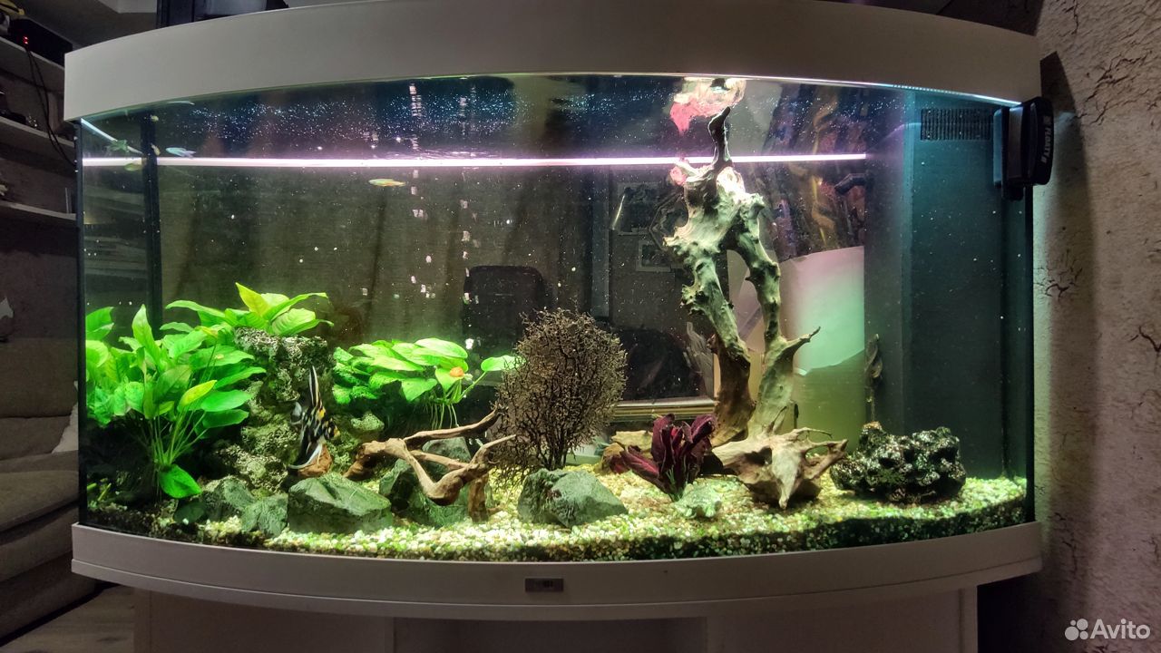 Аквариум Juwel vision 260