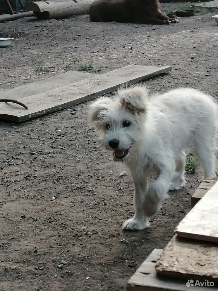 Малышка