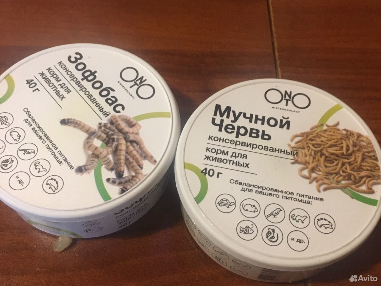 Мучной червь