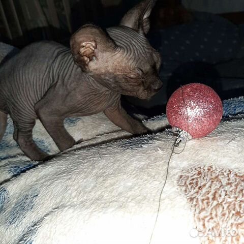 Маленький новогодний ангелочек