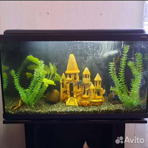 Аквариум