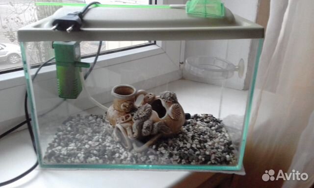 Аквариум с полным комплектом