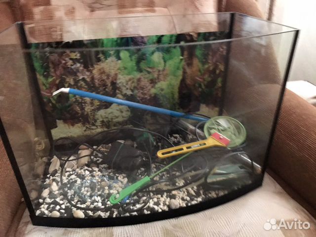 Аквариаум для рыб