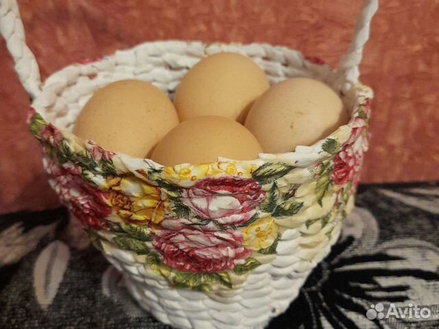 Яйцо индоуток