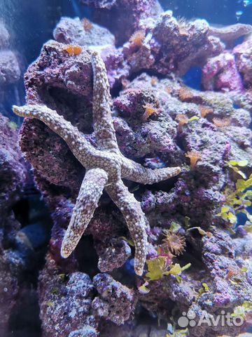 Аквариум с тумбой