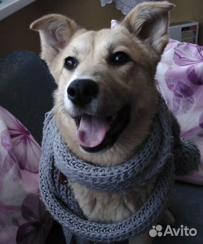 Девочка подросток в добрые руки