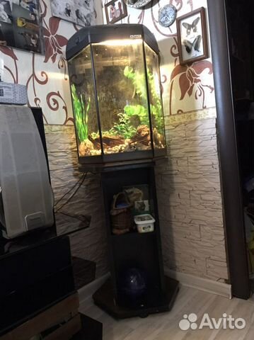 Аквариум aquael 50 литров