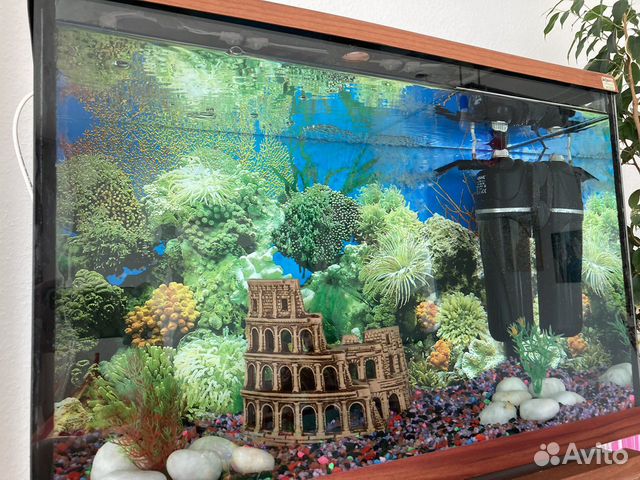 Аквариум 80 л с оборудованием