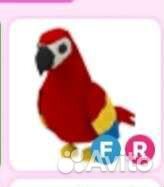 Фр попугай/адопт ми