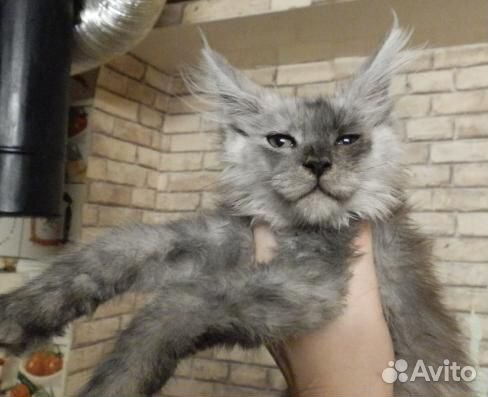 Чёрный дымный мальчик