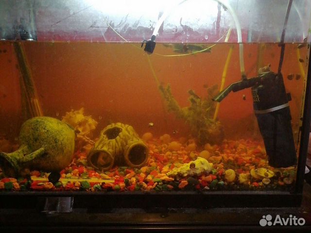 Аквариум отдам