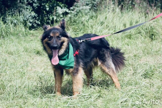 Я умру в приюте