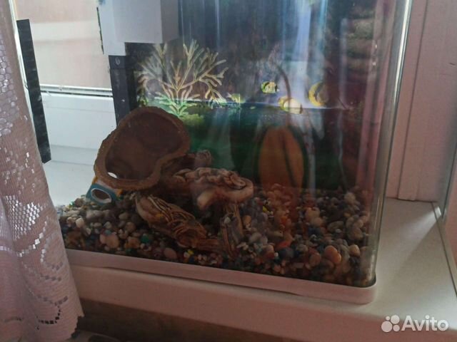 Аквариум