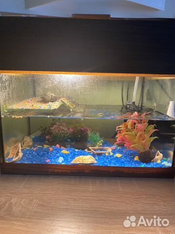 Продам Аквариум для черепашки
