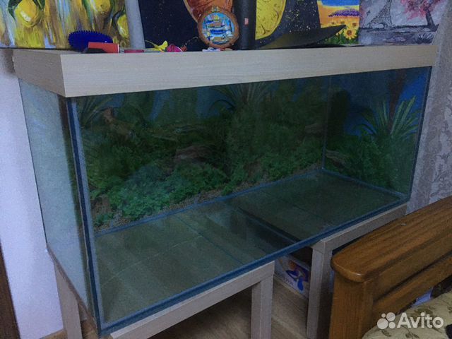 Аквариум