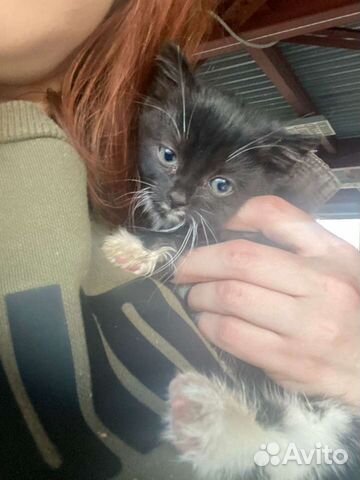 Маленькая бусинка в поисках дома