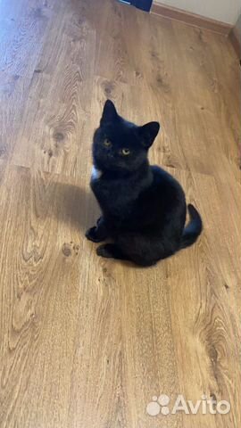 Малыш ищет маму