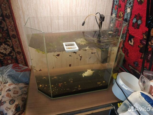 Аквариум 36л