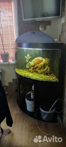 Аквариум с тумбой бу