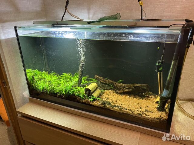 Аквариум с фильтром и рыбками