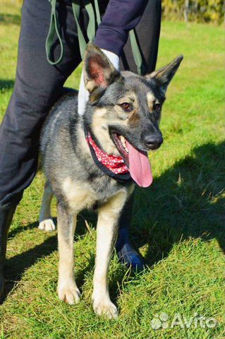 Ариэль ждёт своего Ангела Хранителя