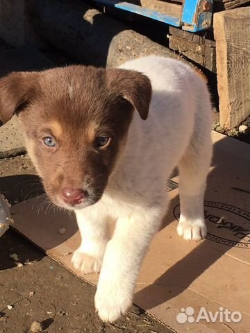 Невероятно красивая малышка в самые любящие руки