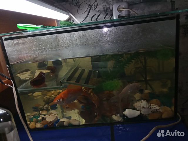 Террариум для черепахи