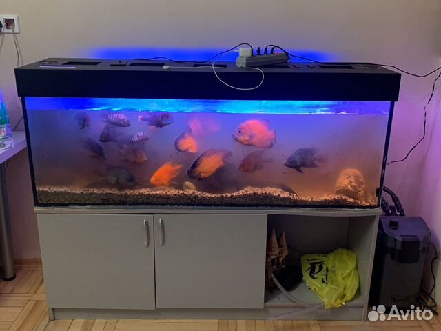 Аквариум 380 литров