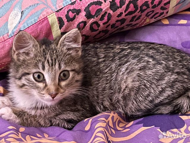 Подвальный малыш