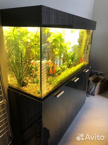 Аквариум с тумбой Juwel 600л с оборудованием