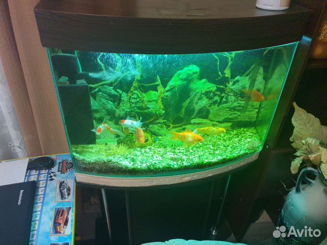 Аквариум с тумбой