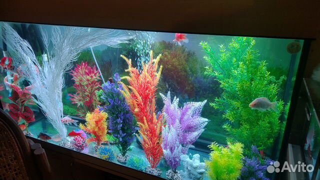 Аквариум, фильтр, уф, компрессор, подсветка