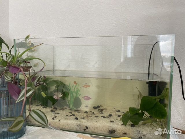 Аквариум с рыбками