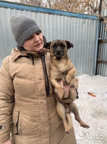 Отдаю песика 6 кг в дар