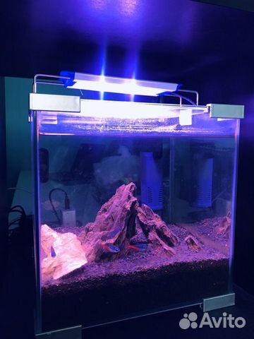 Готовый аквариум 16 литров с живностью