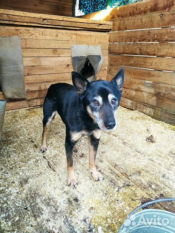 Пожалуйста, подарите Серафиме дом