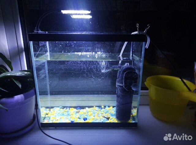 Продам аквариум и всё к нему