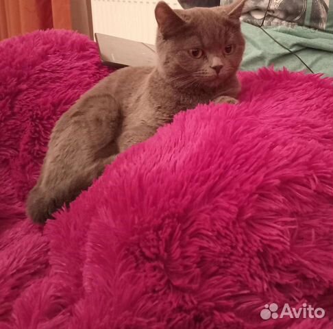 Ищем своего принца Вязка