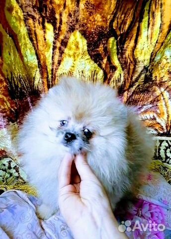 Девочка с голубыми глазами