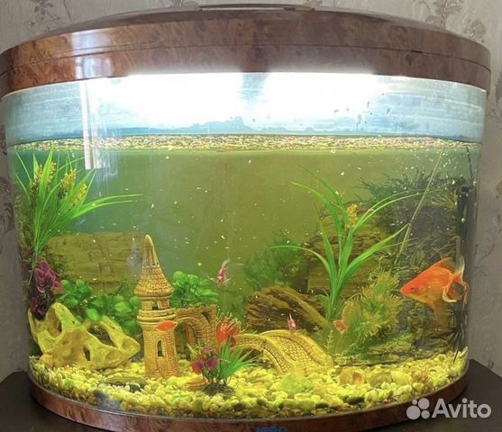 Аквариум